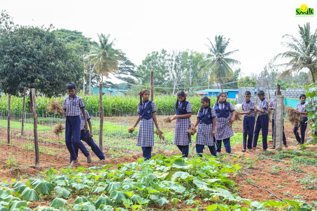 Empowering Students as Green Ambassadors