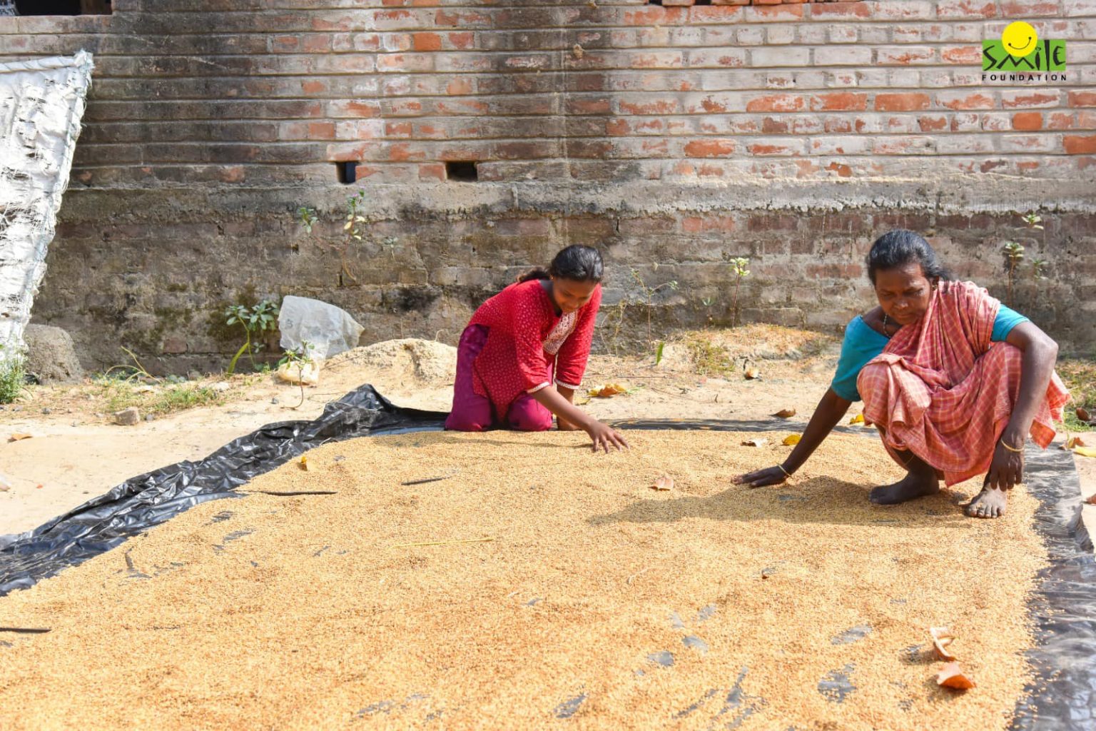 Livelihood Skill Development Training Programme for Rural Youth